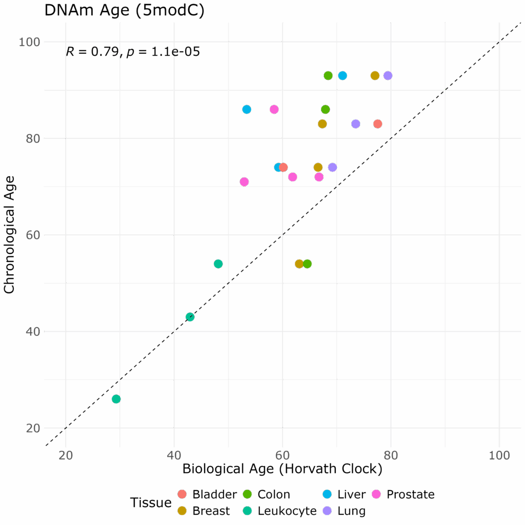 6-base genome reveals the reality of DNA methylation biomarkers of ...