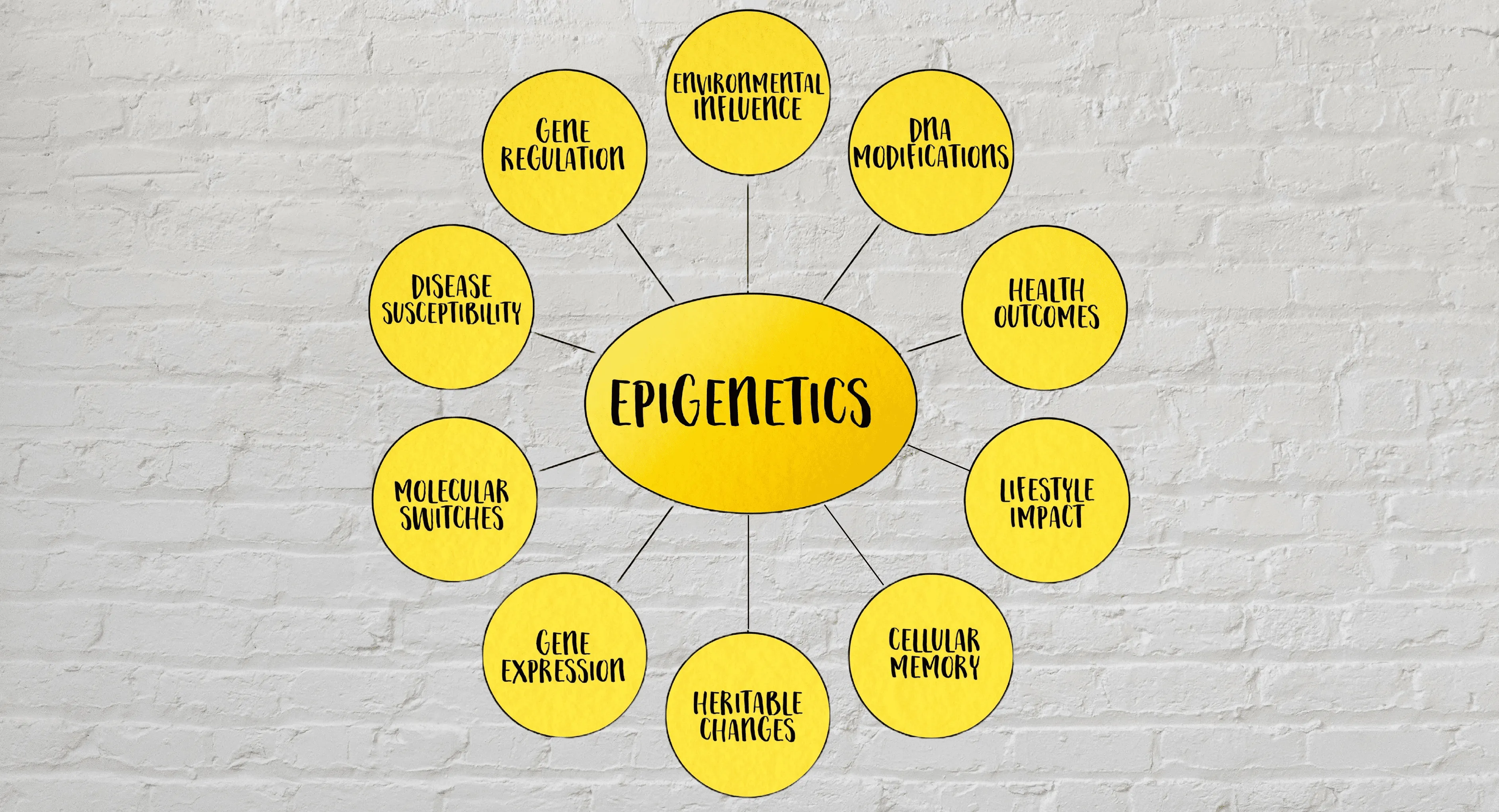 Types of epigenetic modifications | biomodal