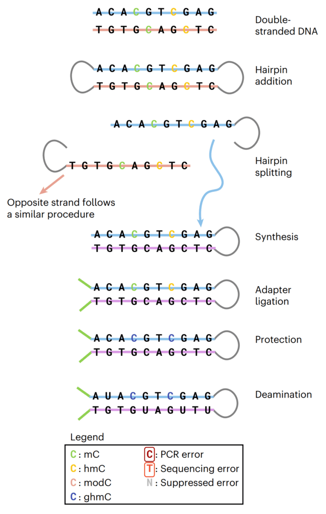 Simultaneous sequencing of genetic & epigenetic data