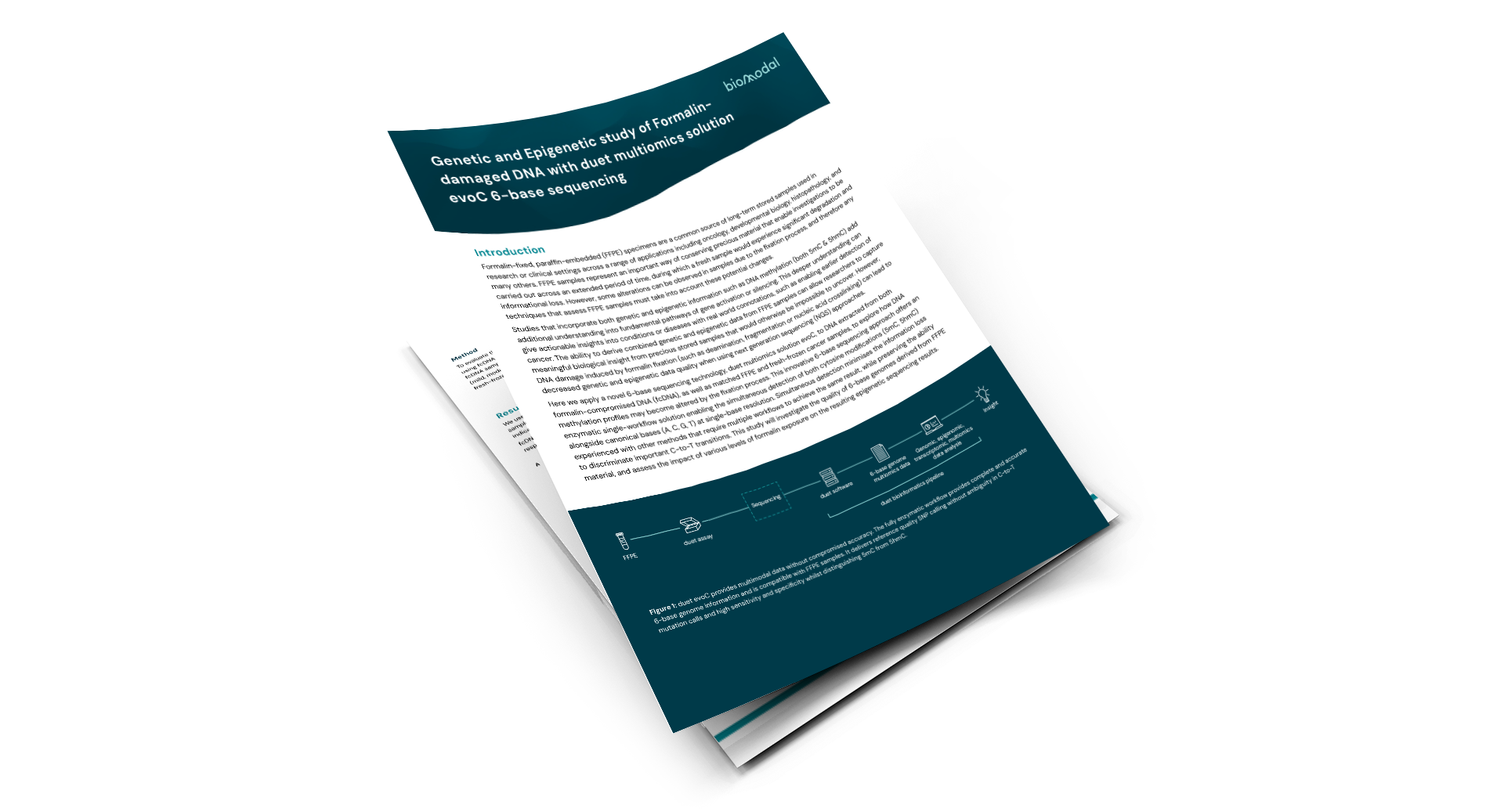 Genetic and Epigenetic study of Formalin-damaged DNA with duet multiomics solution evoC 6-base ...