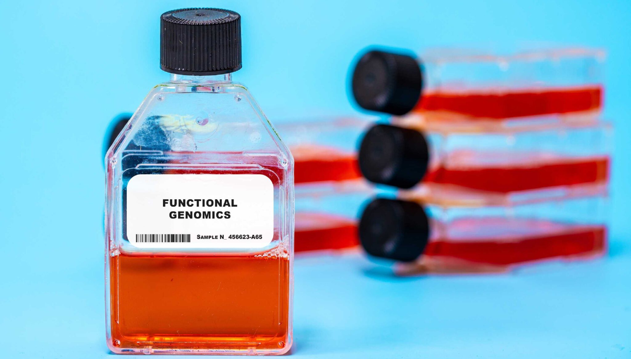 What Is Functional Genomics Biomodal