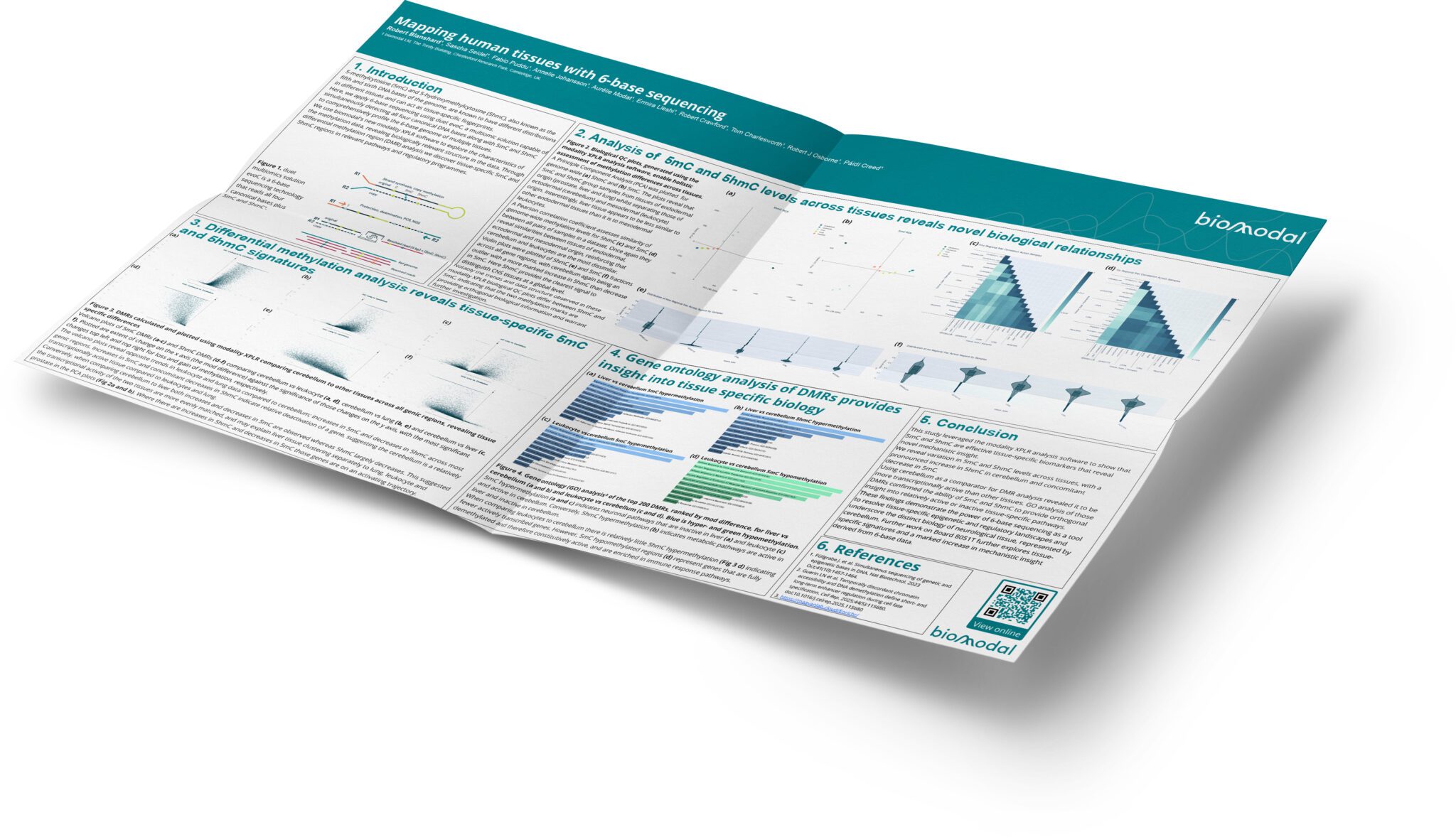 Mapping human tissues with 6-base sequencing | biomodal